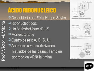 Ácido ribonucléico 2 bach | PPT