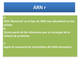 Acido ribonucleico arn | PDF