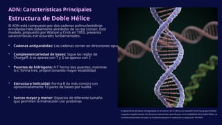 Acidos-Nucleicos-Generalidades-y-Componentes.pptx