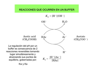 Acidos, Bases y Buffers | PDF