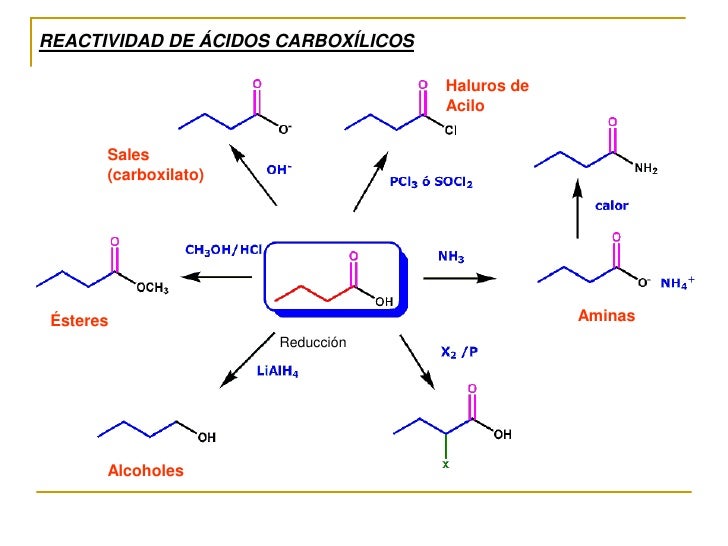 Acidos carboxilicos