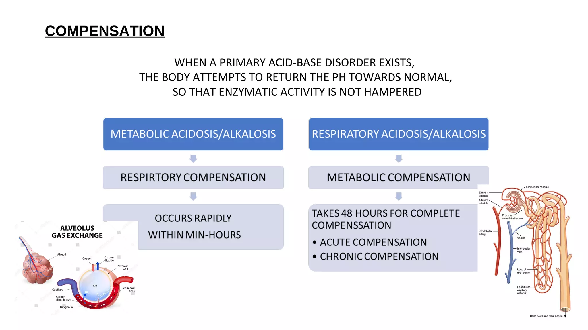 Acidosis and alkalosis | PPT