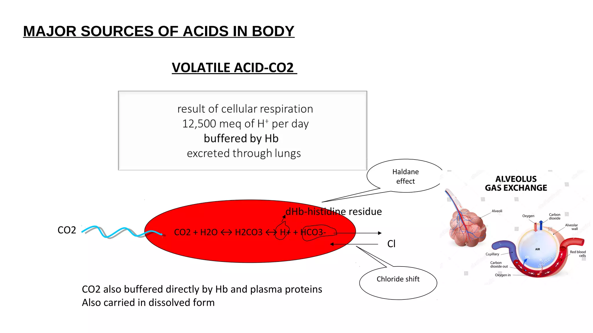 Acidosis and alkalosis | PPT