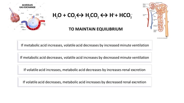Acidosis and alkalosis | PPT | Chemistry | Science