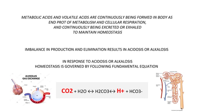 Acidosis and alkalosis | PPT | Chemistry | Science