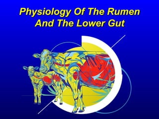 Acidosis in Dairy Herds: Causes, Signs, Management, Prevention and ...