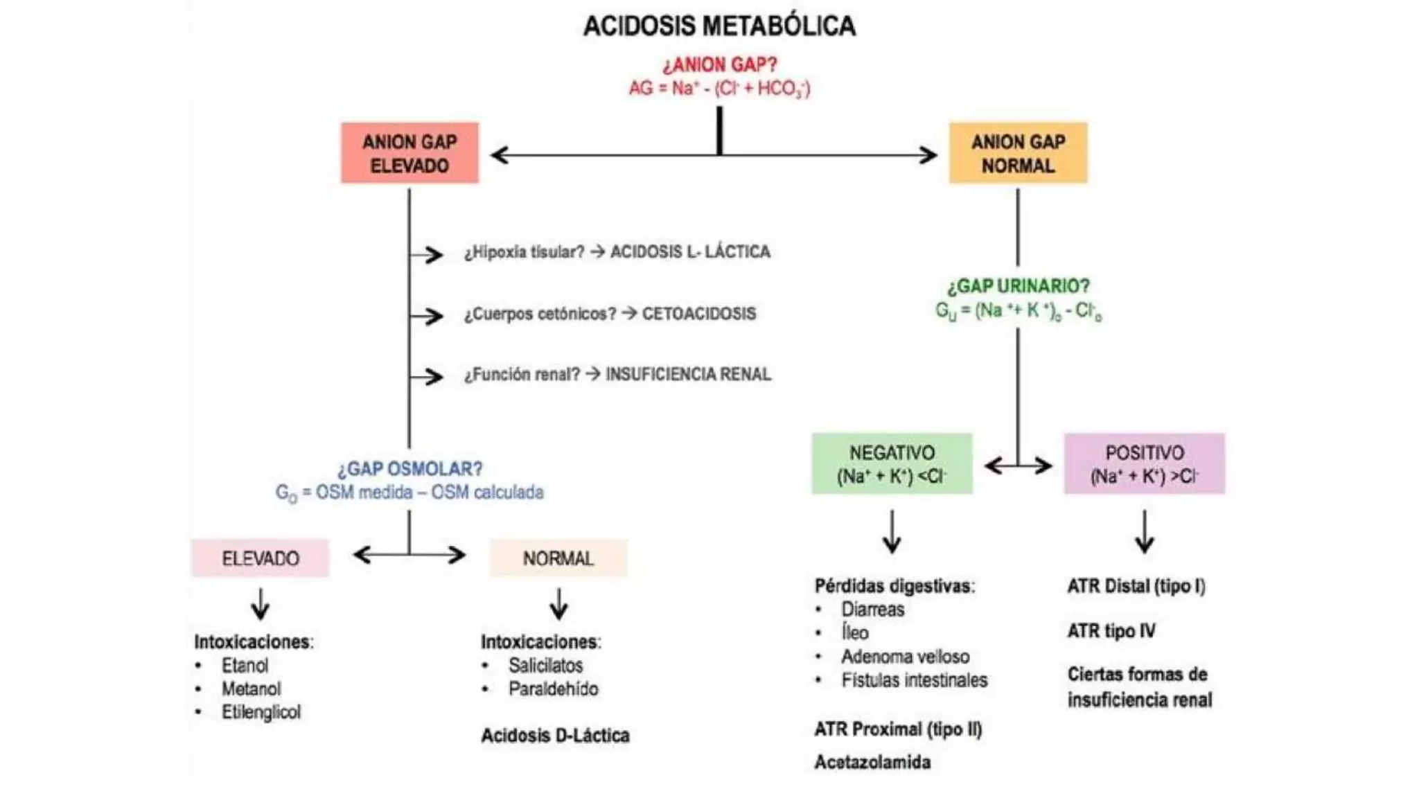 Acidosis Metabólica con Acidosis Láctica.pptx
