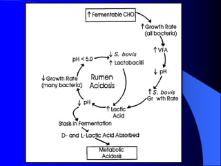 Acidosis ruminal | PPTX
