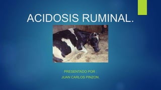 acidosis ruminal..pptx