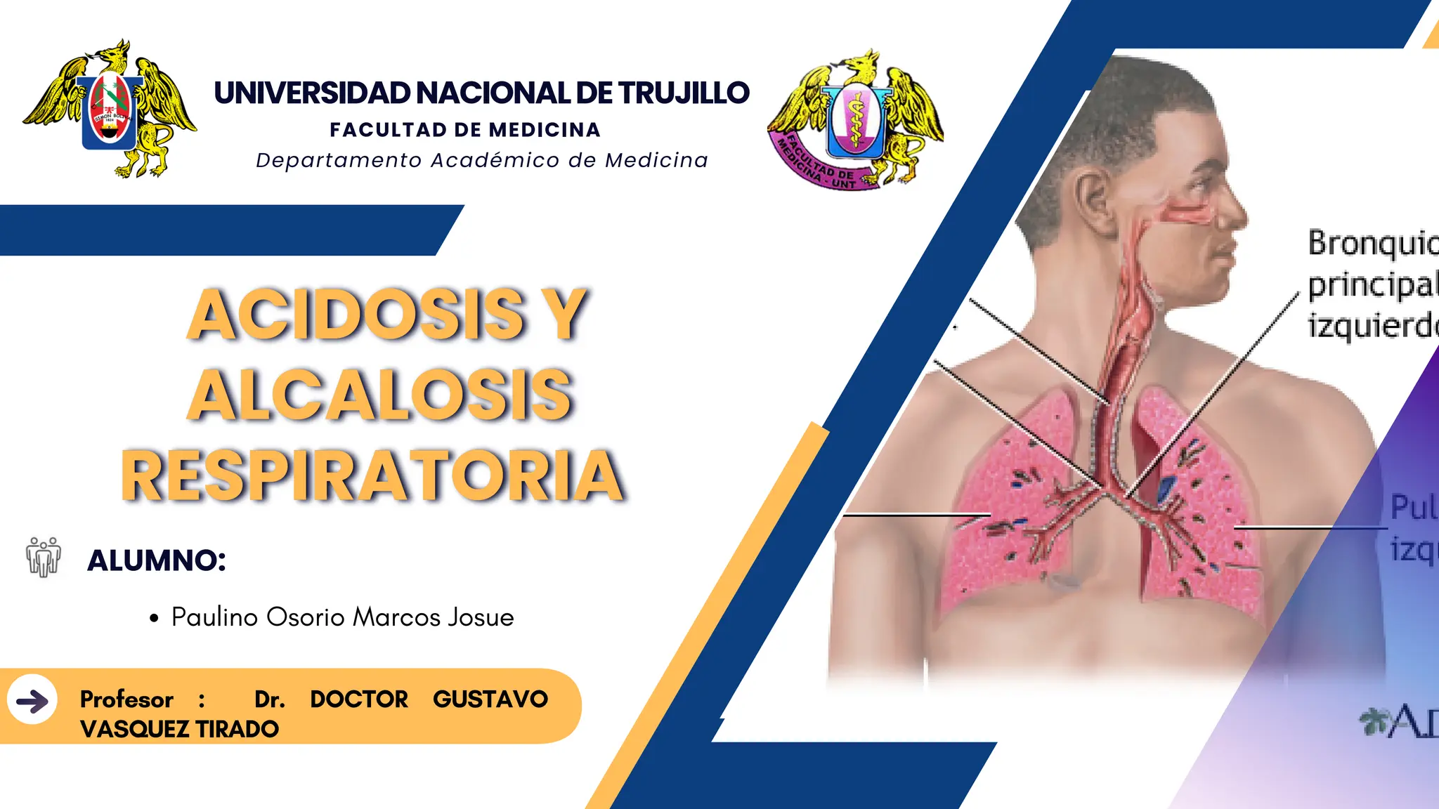 ACIDOSIS y ALCALOSIS RESPIRATORIA semiologia | PDF