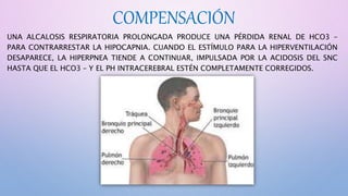 ACIDOSIS Y ALCALOSIS RESPIRATORIA-SEMIOLOGIA.pptx