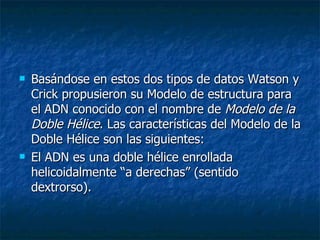 Acidos Nucleicos | PPT