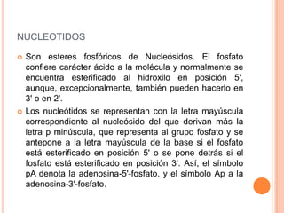 Acidos nucleicos | PPTX