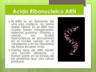 Acidos nucleicos | PPTX