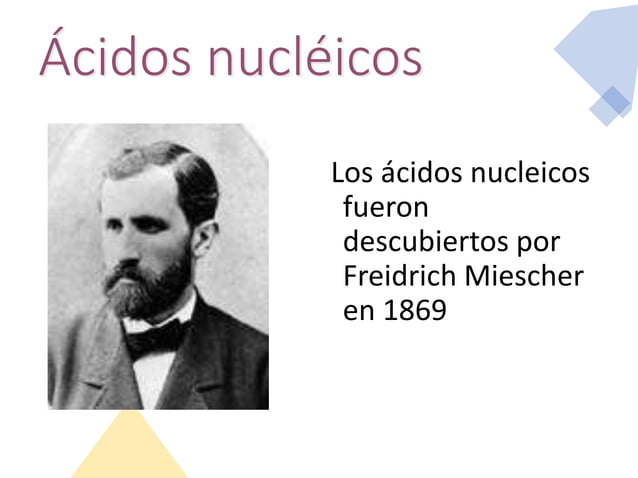 Acidos nucleicos presentacion ADN Y ARN.ppt