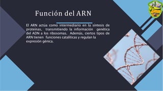 ACIDOS NUCLEICOS ESRUCTURA DEL ADN Y ARN (1).pptx