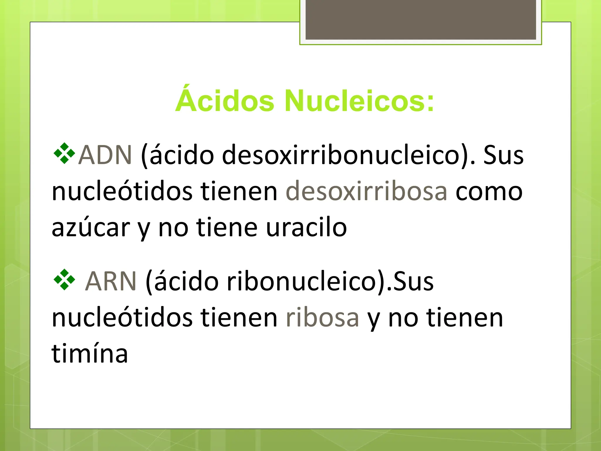 ACIDOS NUCLEICOS ADN Y ARN GENETICA Y BIOQUIMICA | PPT | Biological ...