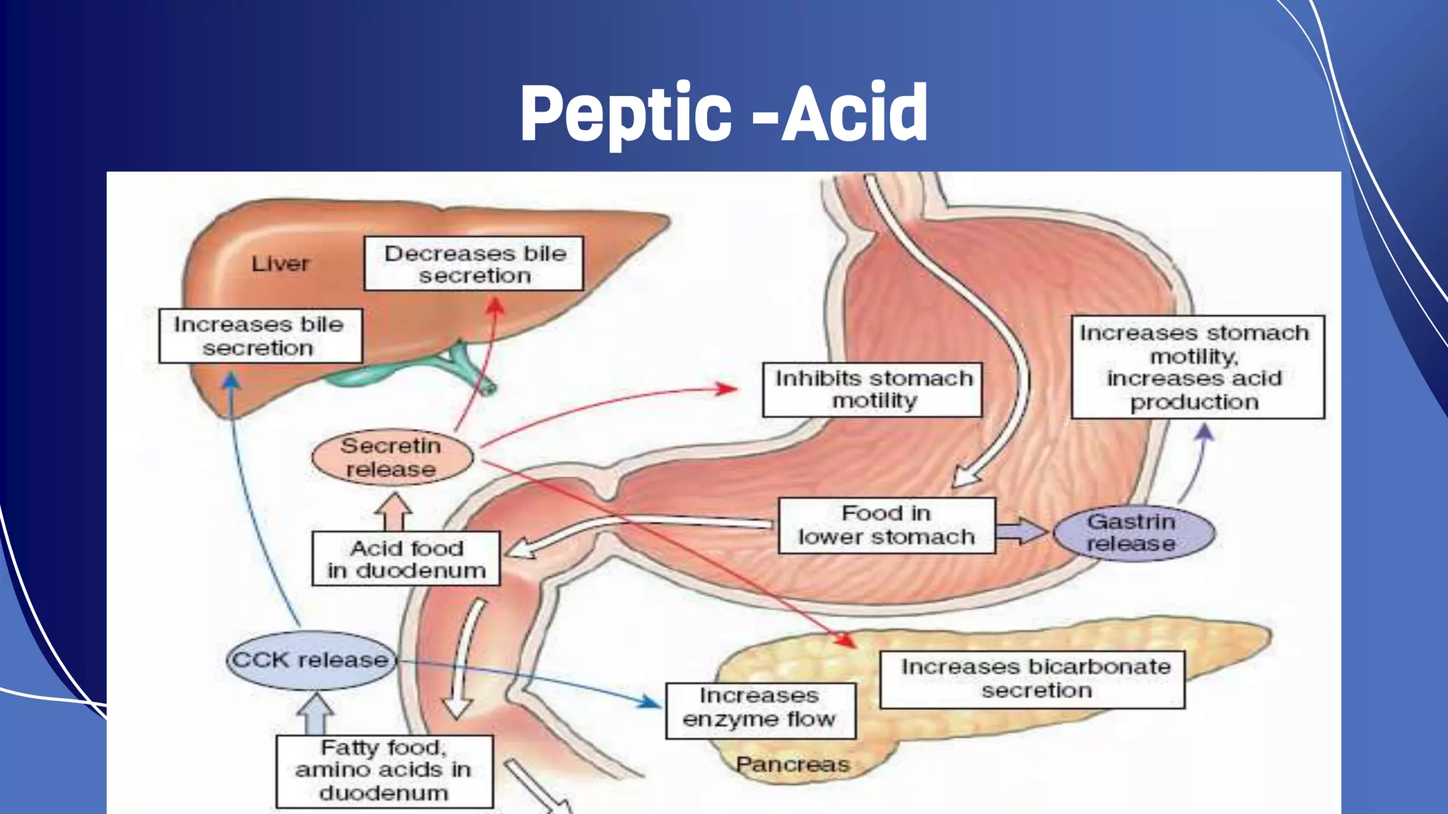 Acid peptic disease.pptx