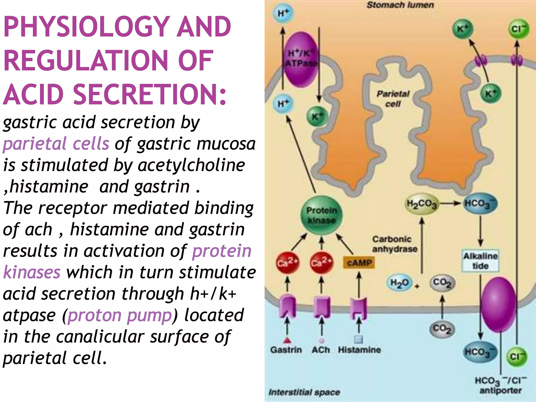 Acid peptic disorders | PPTX