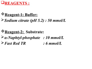 ACID PHOSPHATASE (ACP).pptx............. | PPTX