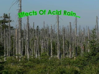 Acid rain | PPT