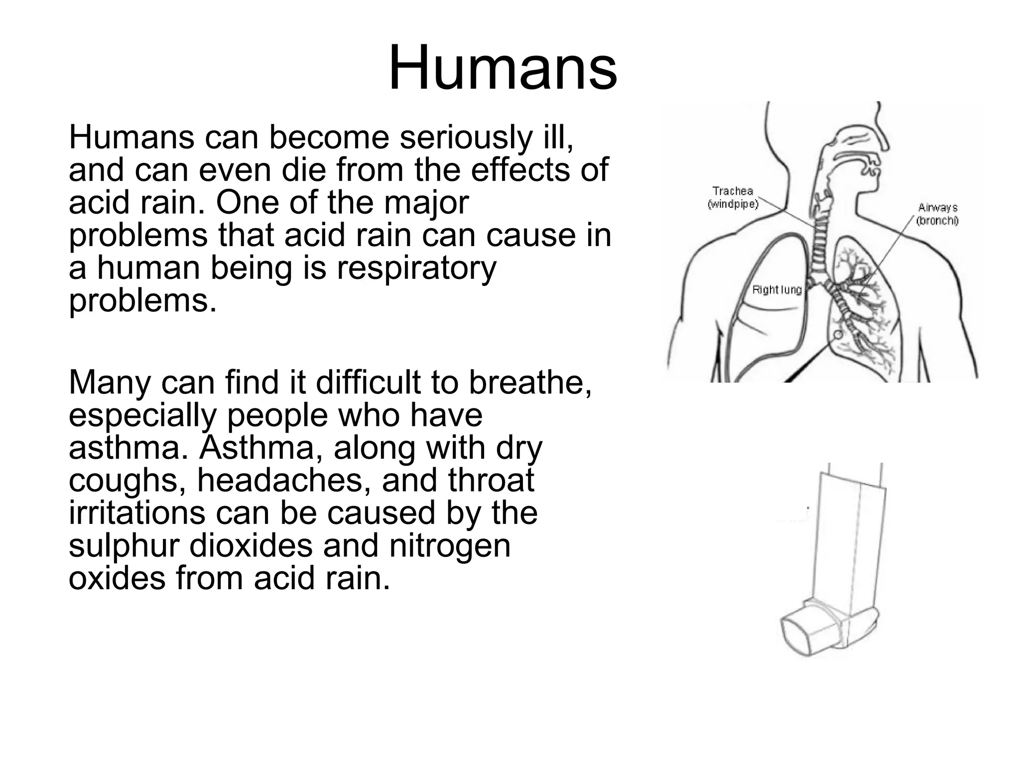 Acid rain | PPT