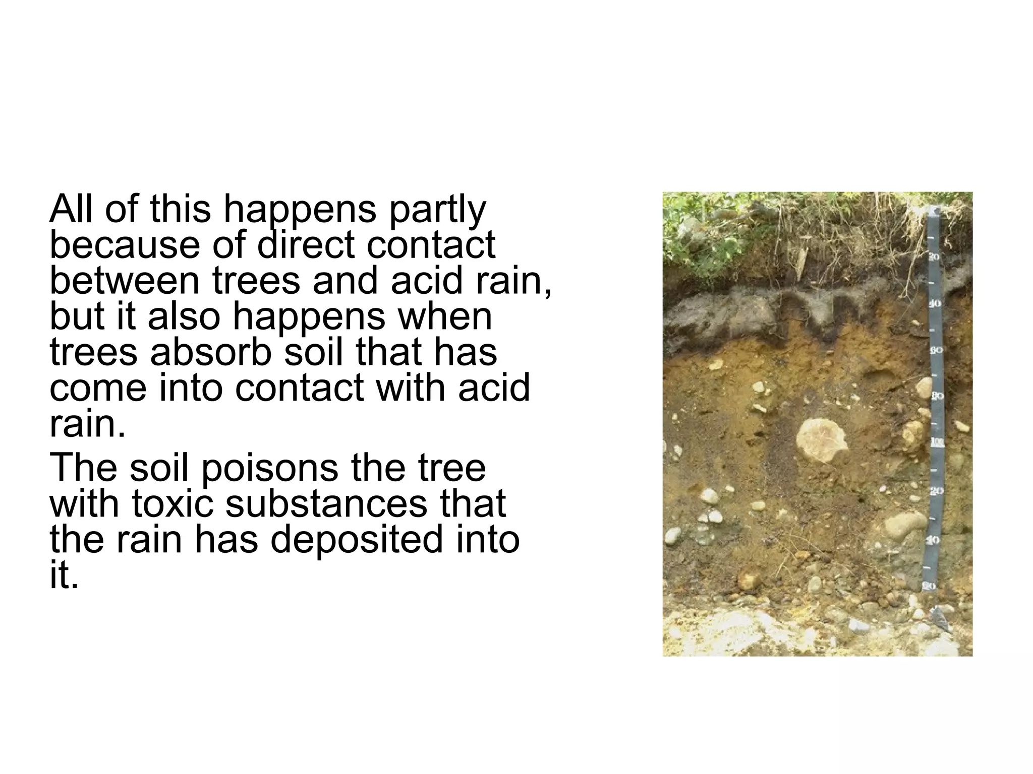 Acid rain | PPT