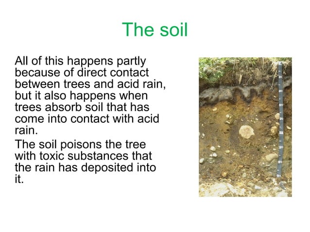 Acid rain | PPT