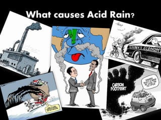 Acid rain | PPTX