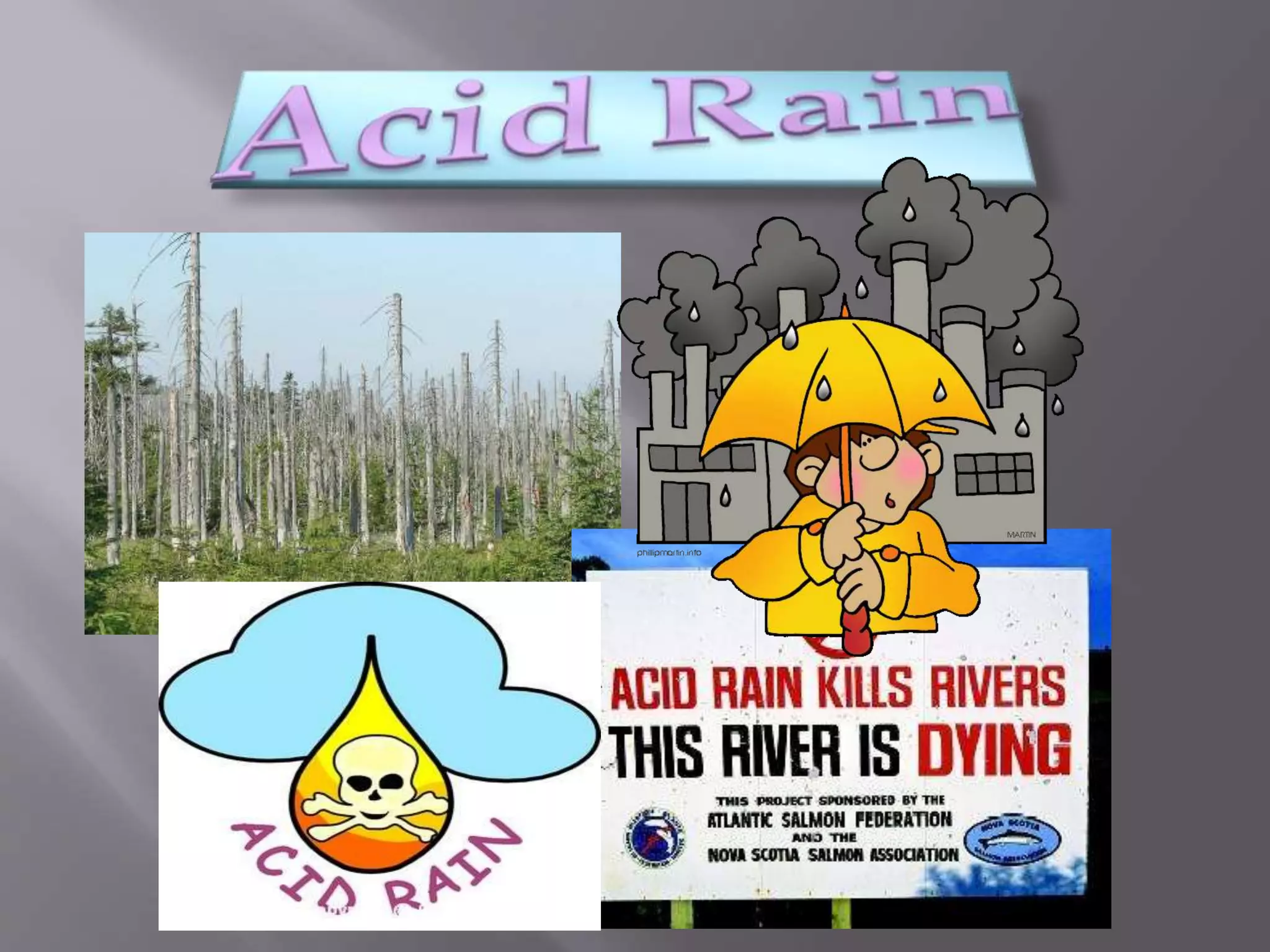 Acid rain and its effects | PPT