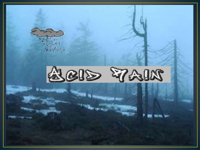 Acid rain and its effects | PPTX | Environment | Science