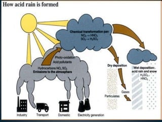 Acid rain and its effects | PPTX | Environment | Science