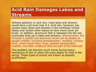 Acid Rain | PPTX