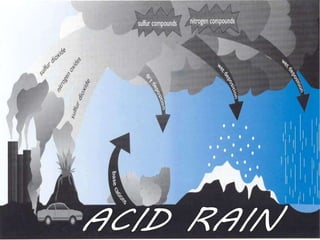 Acid rain | PPTX