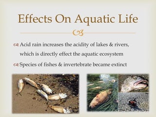 Acid Rain Effects On Fish