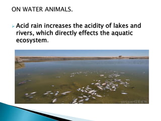Acid Rain Effects On Rivers And Lakes