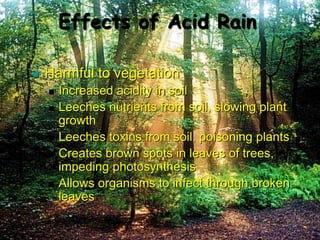 ACID RAIN PPT | PPTX