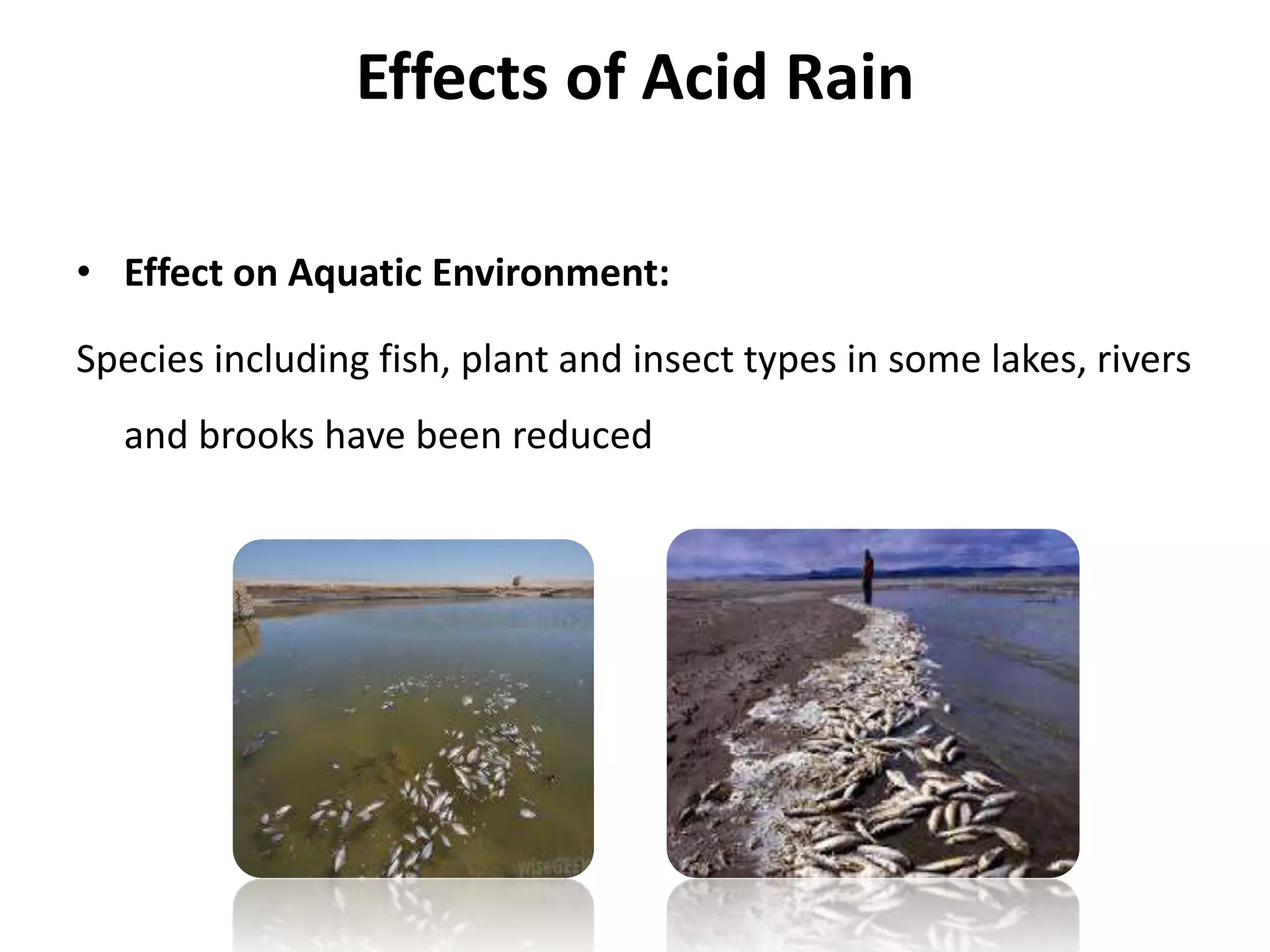 Acid rain - Causes , effects and remediation | PPTX