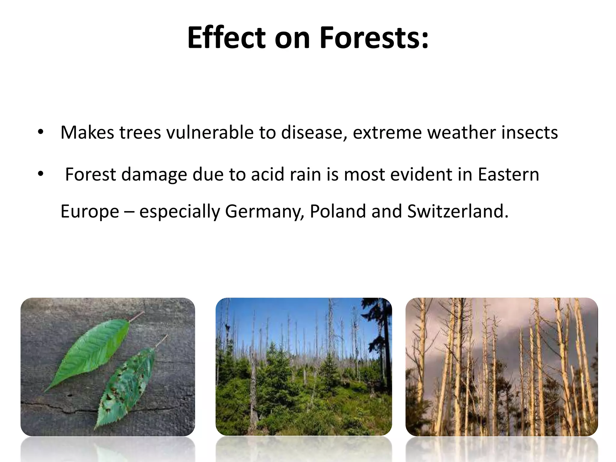 Acid rain - Causes , effects and remediation | PPTX
