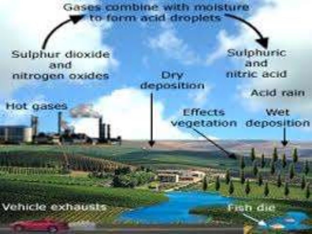 Acid rain - Causes , effects and remediation | PPTX