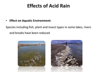 Acid rain - Causes , effects and remediation | PPTX