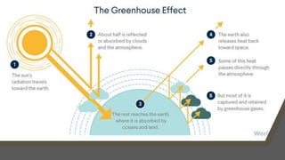 Acid rain and greenhouse | PPT