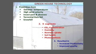 Acid rain and greenhouse | PPT