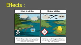 Acid rain and greenhouse | PPT