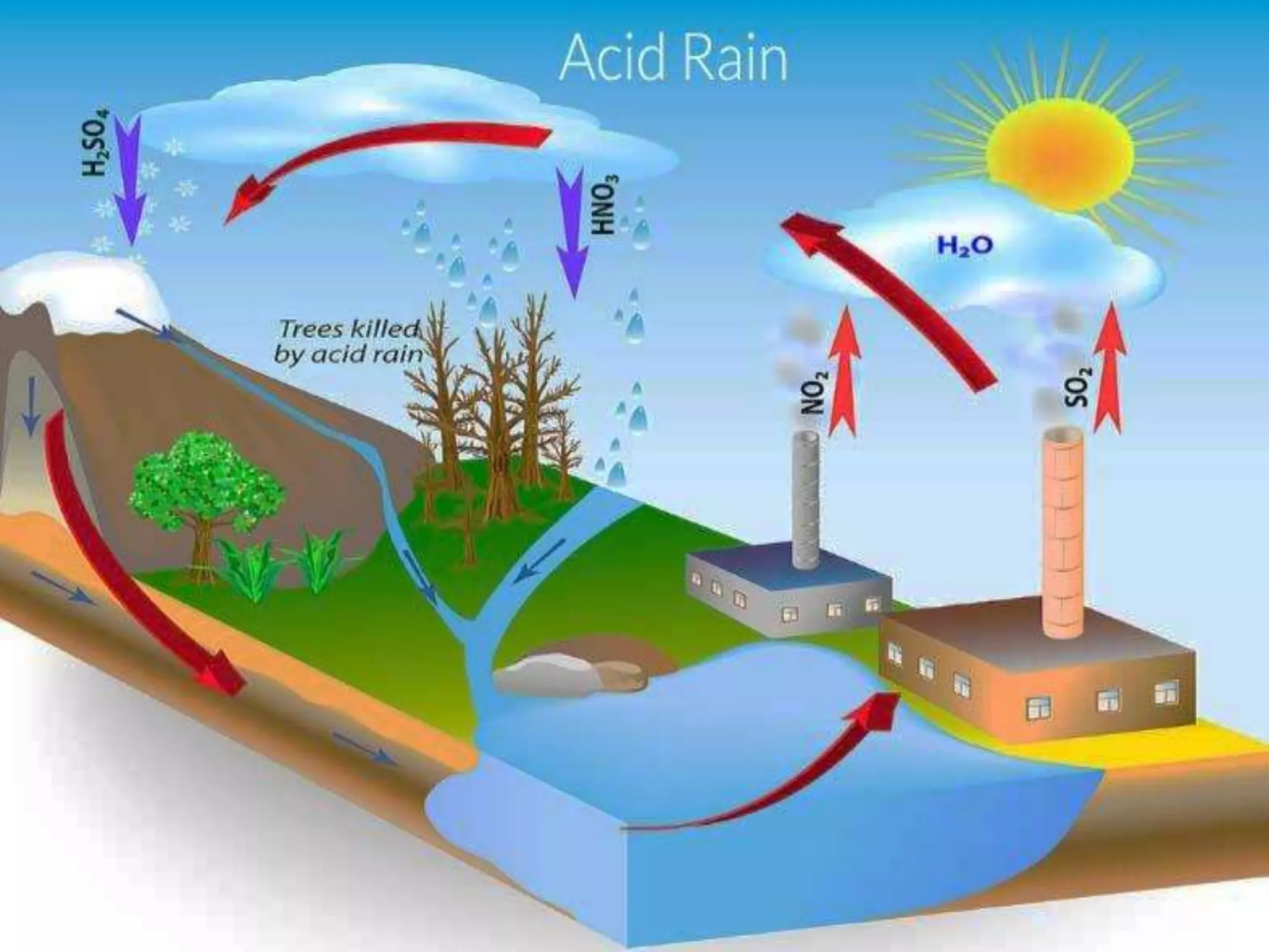 Acid Rain | PPT