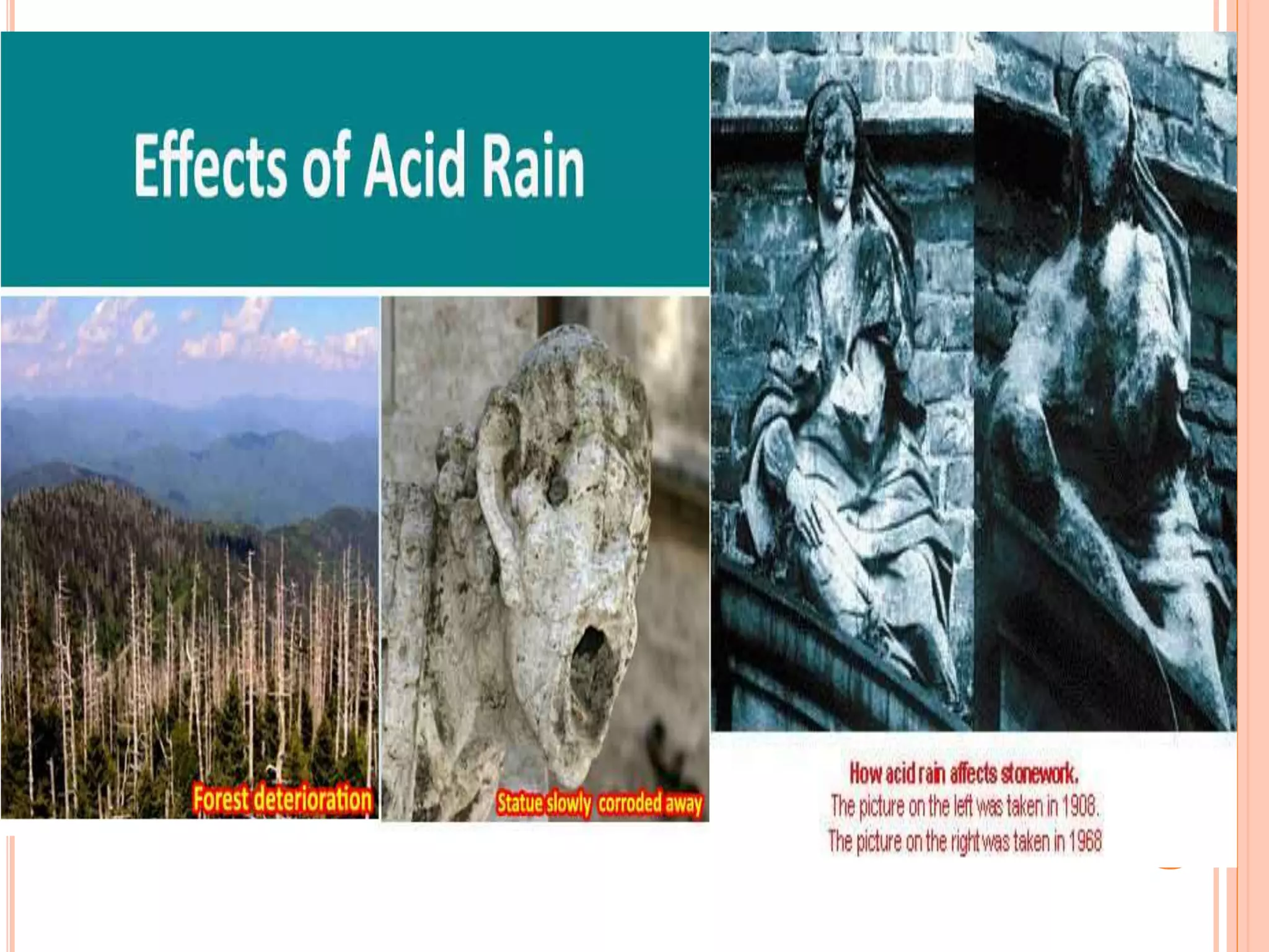 Acid rain and its effects | PPTX