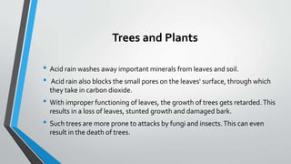 Acid rain | PPT