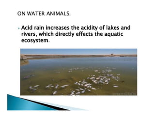 Acid rain ... | PPT