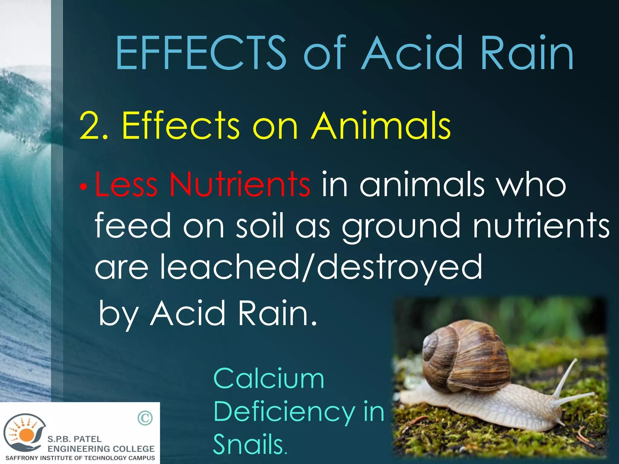 Acid rain | PDF