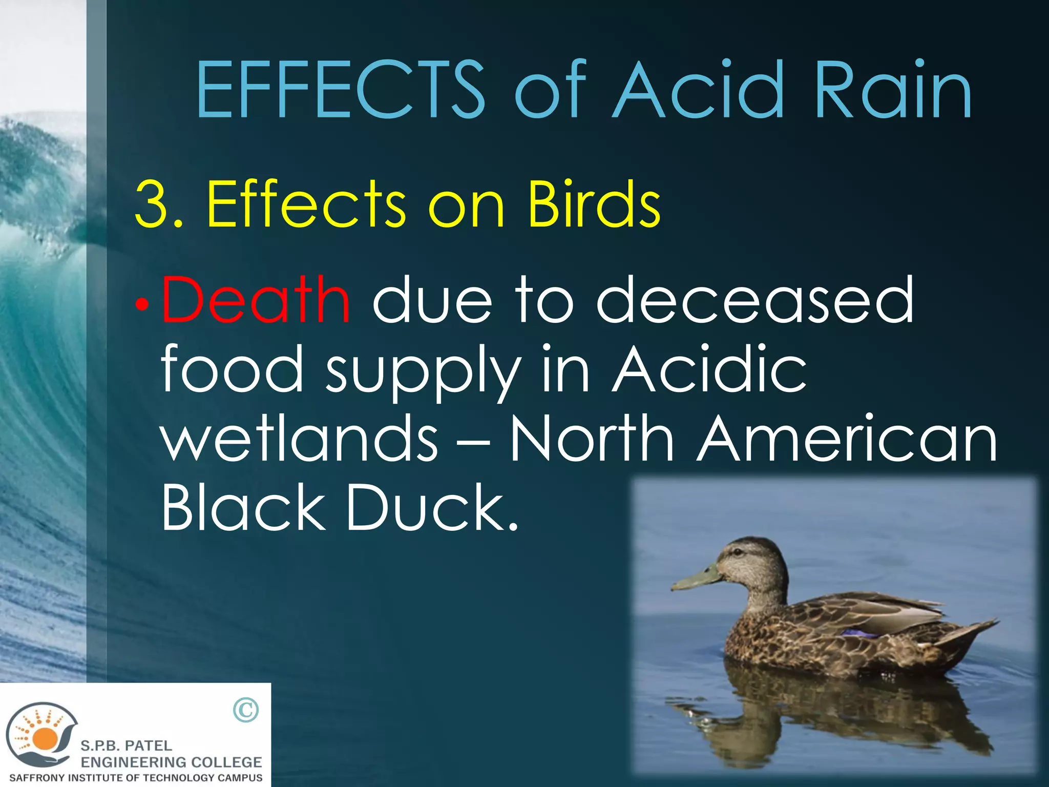 Acid rain | PDF